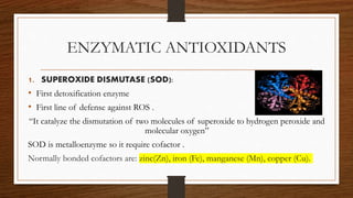 Antioxidents | PPTX