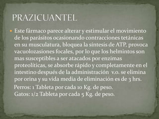Antiparacitarios | PPTX