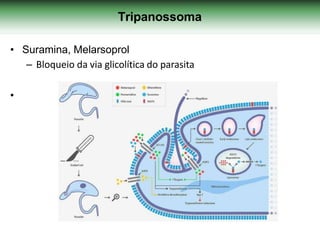 Antiparasitario.pptx