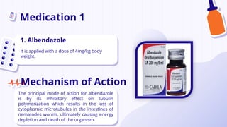 Antiparasitic Drug in Fishes.pptx