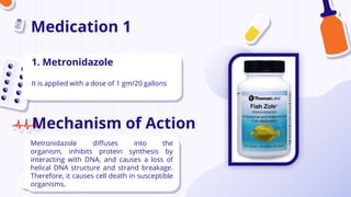Antiparasitic Drug in Fishes.pptx