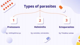 Antiparasitic Drug in Fishes.pptx