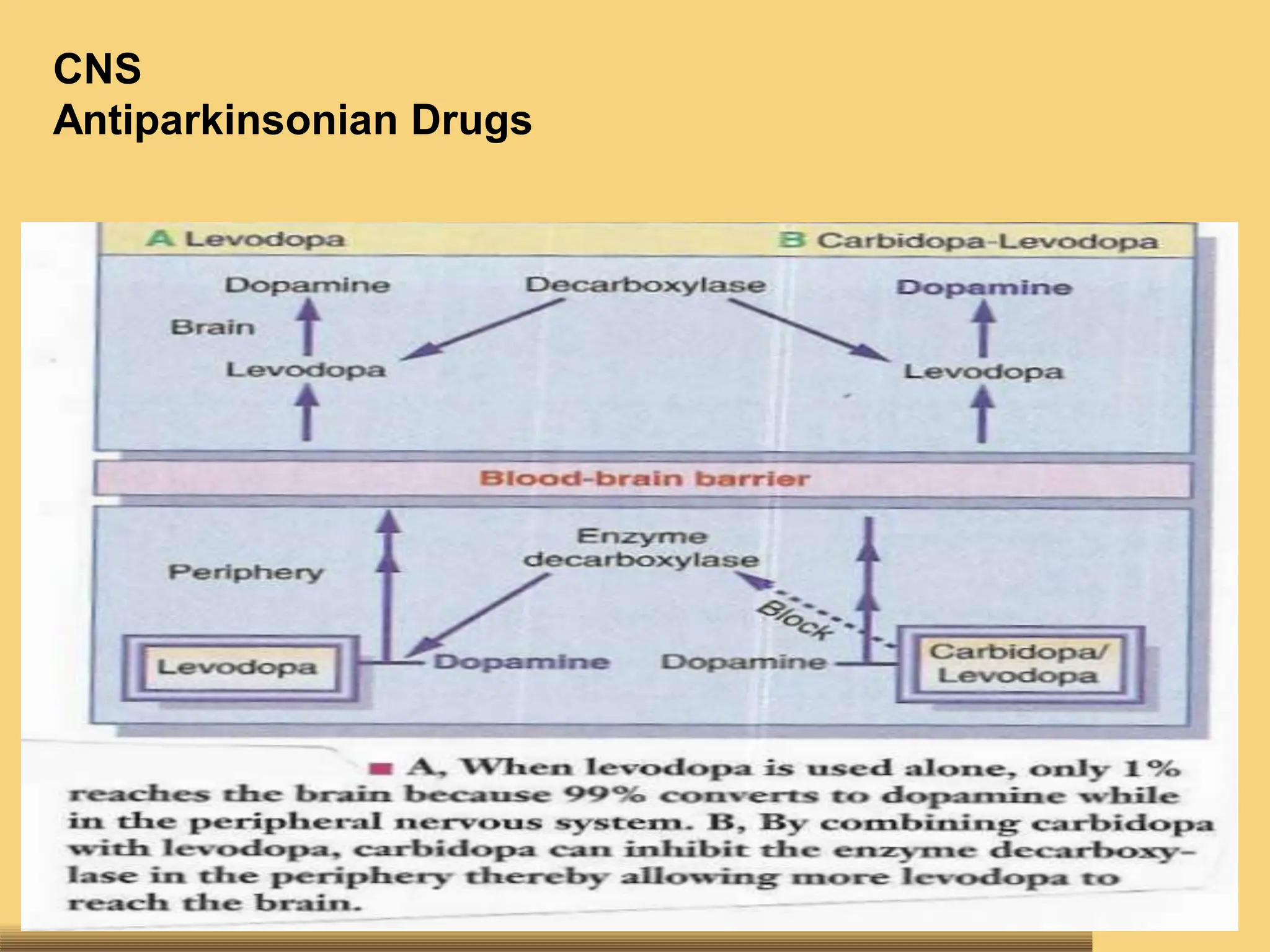antiparkinson drug-Dopamine precursors,levodopa,cabidopa,bromocriptyne ...
