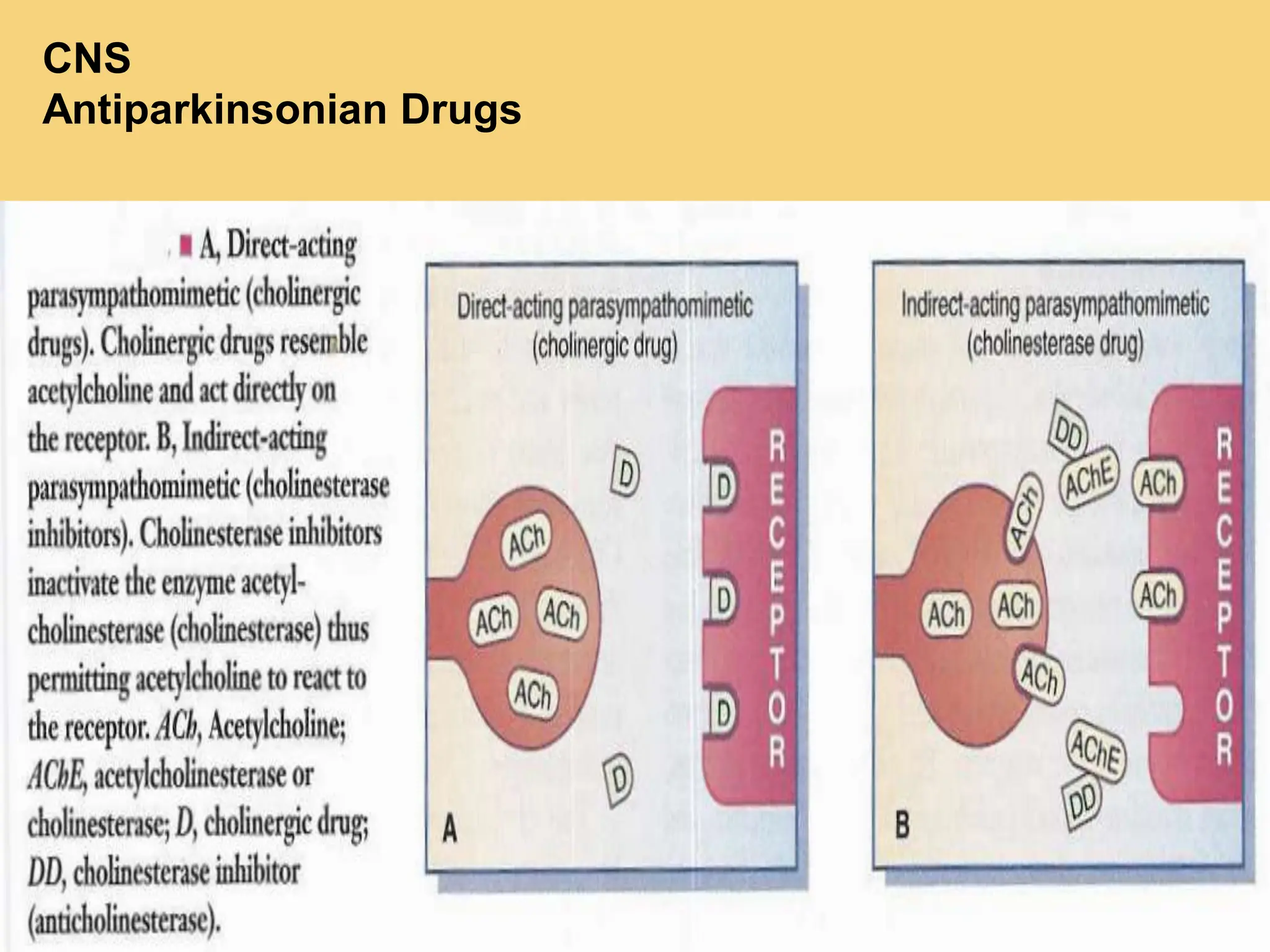 antiparkinson drug-Dopamine precursors,levodopa,cabidopa,bromocriptyne ...