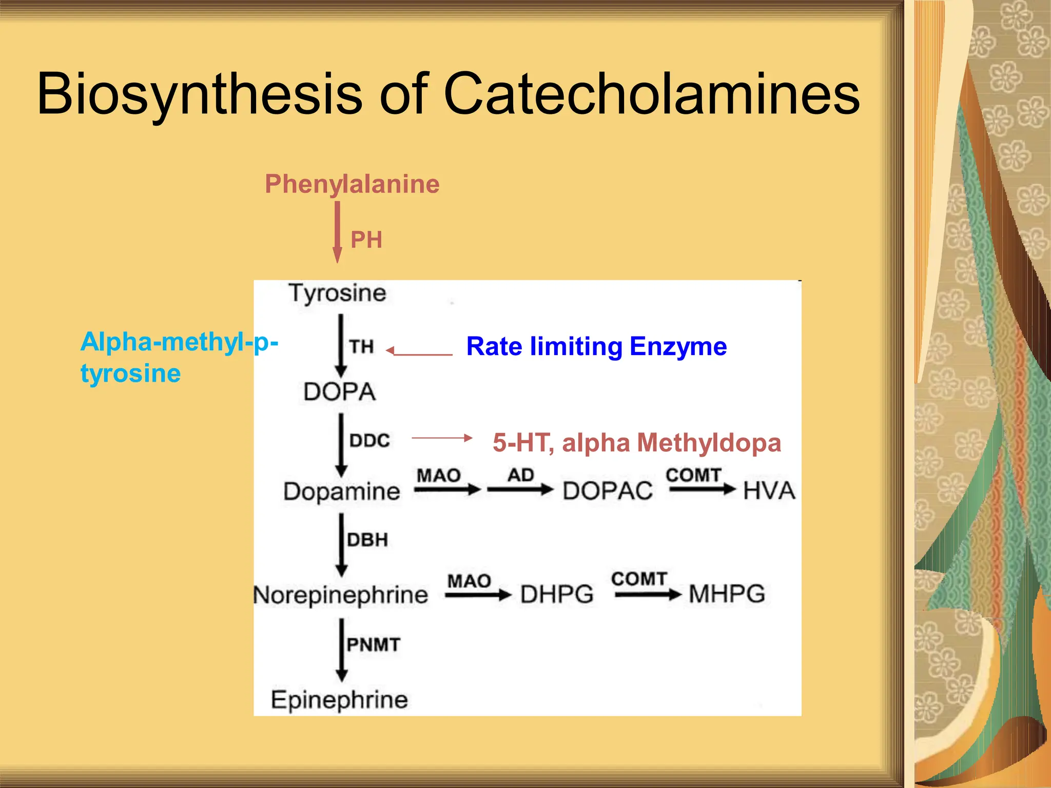 antiparkinson drug-Dopamine precursors,levodopa,cabidopa,bromocriptyne ...