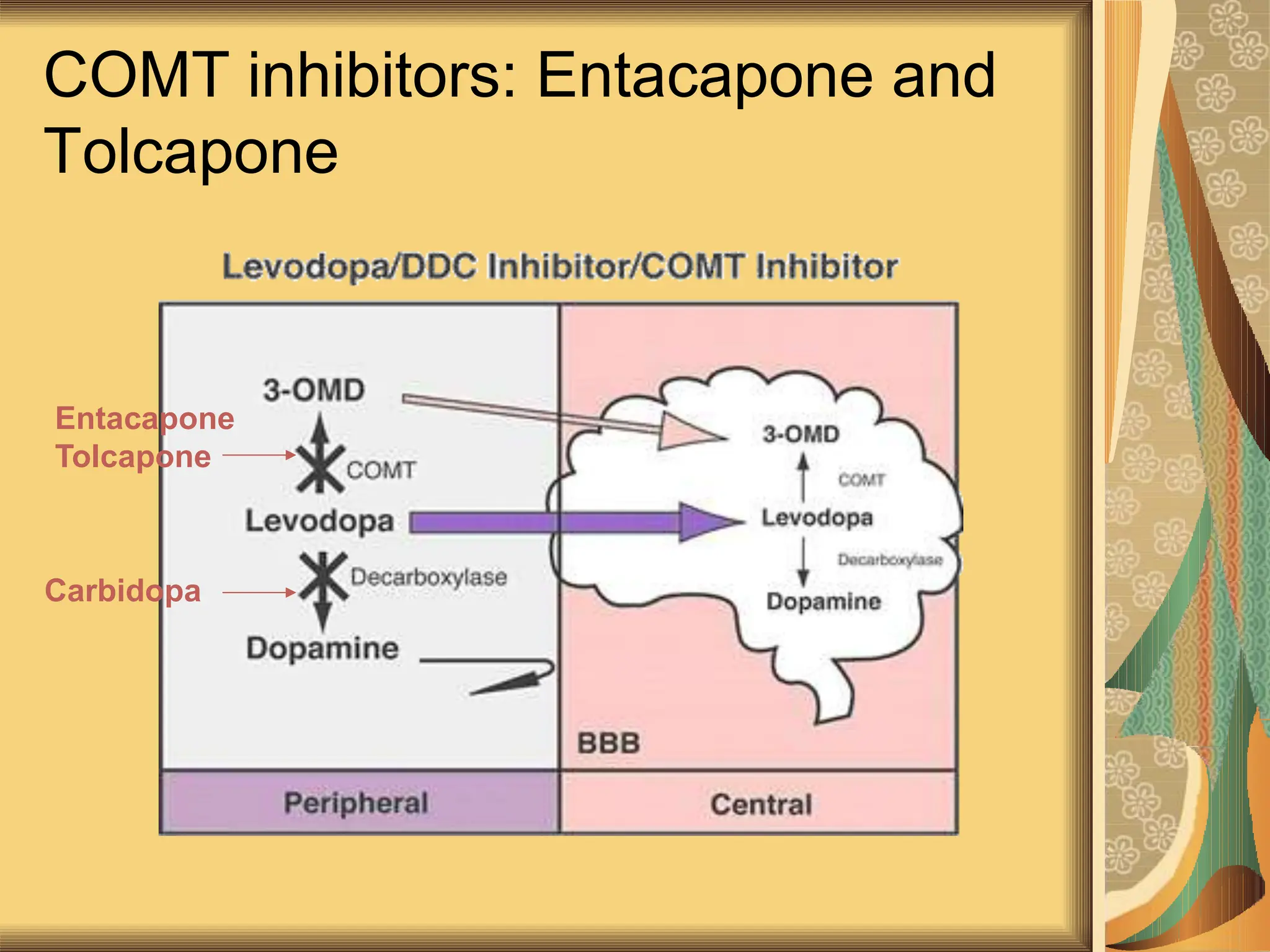 antiparkinson drug-Dopamine precursors,levodopa,cabidopa,bromocriptyne ...