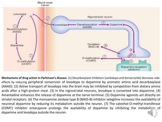 Anti parkinsonian drug ppt | PPT
