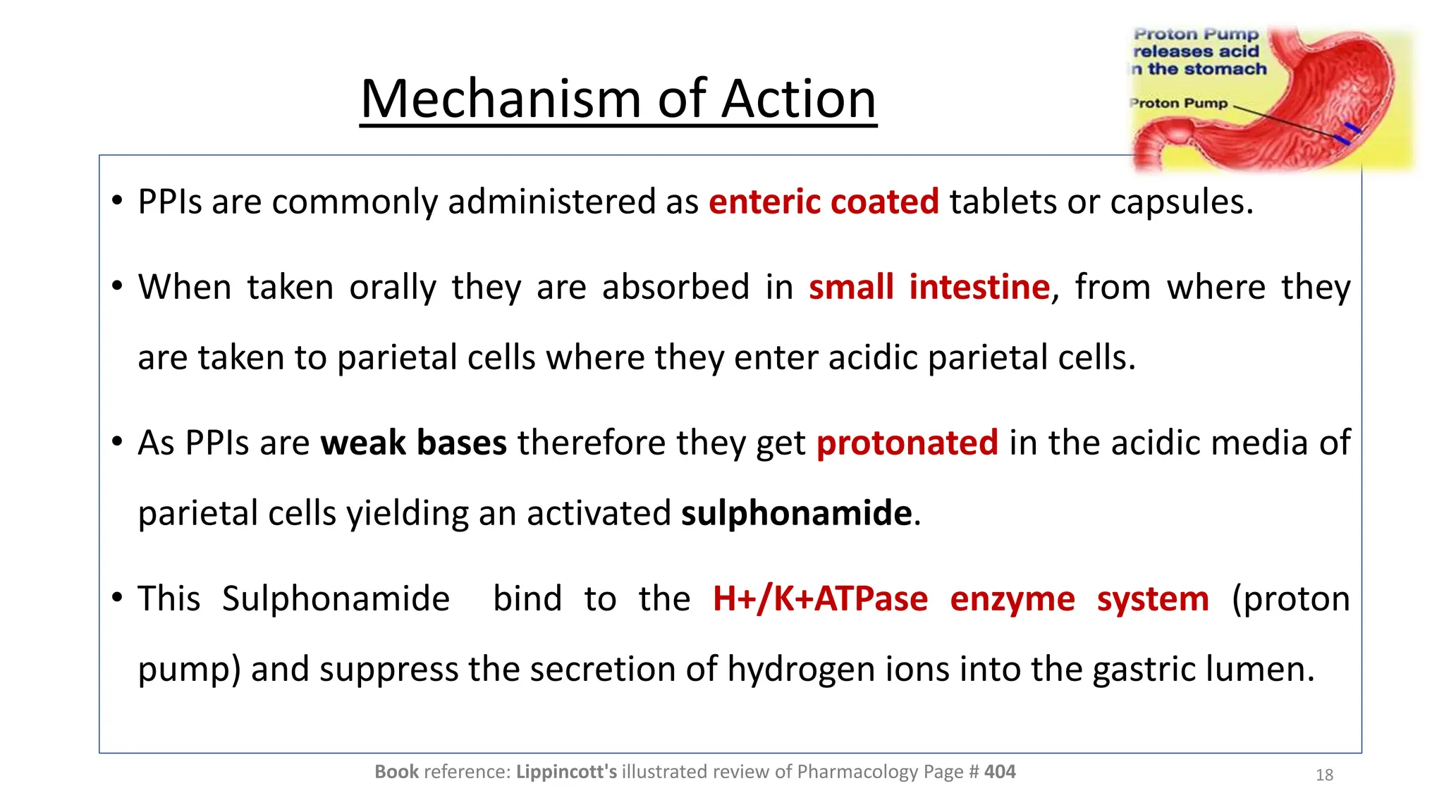 Anti peptic ulcer drugs, by Baqir Naqvi.pptx