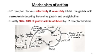 Anti peptic ulcer drugs, by Baqir Naqvi.pptx