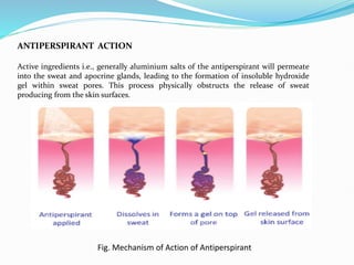 ANTIPERSPIRANTS AND DEODORANTS : MECHANISM OF ACTION | PPTX