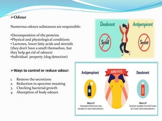 ANTIPERSPIRANTS AND DEODORANTS : MECHANISM OF ACTION | PPTX