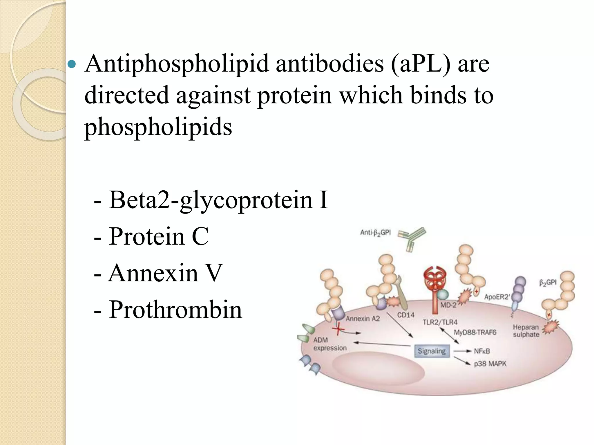 Antiphospholipid antibody Syndrome (APS) by Sunil Kumar Daha | PPT
