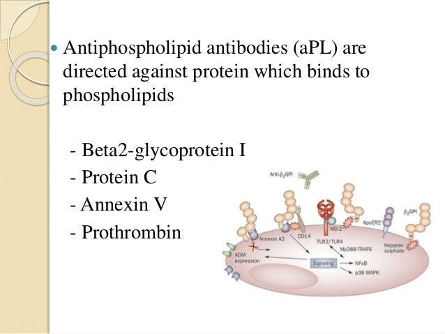 Antiphospholipid antibody Syndrome (APS) by Sunil Kumar Daha