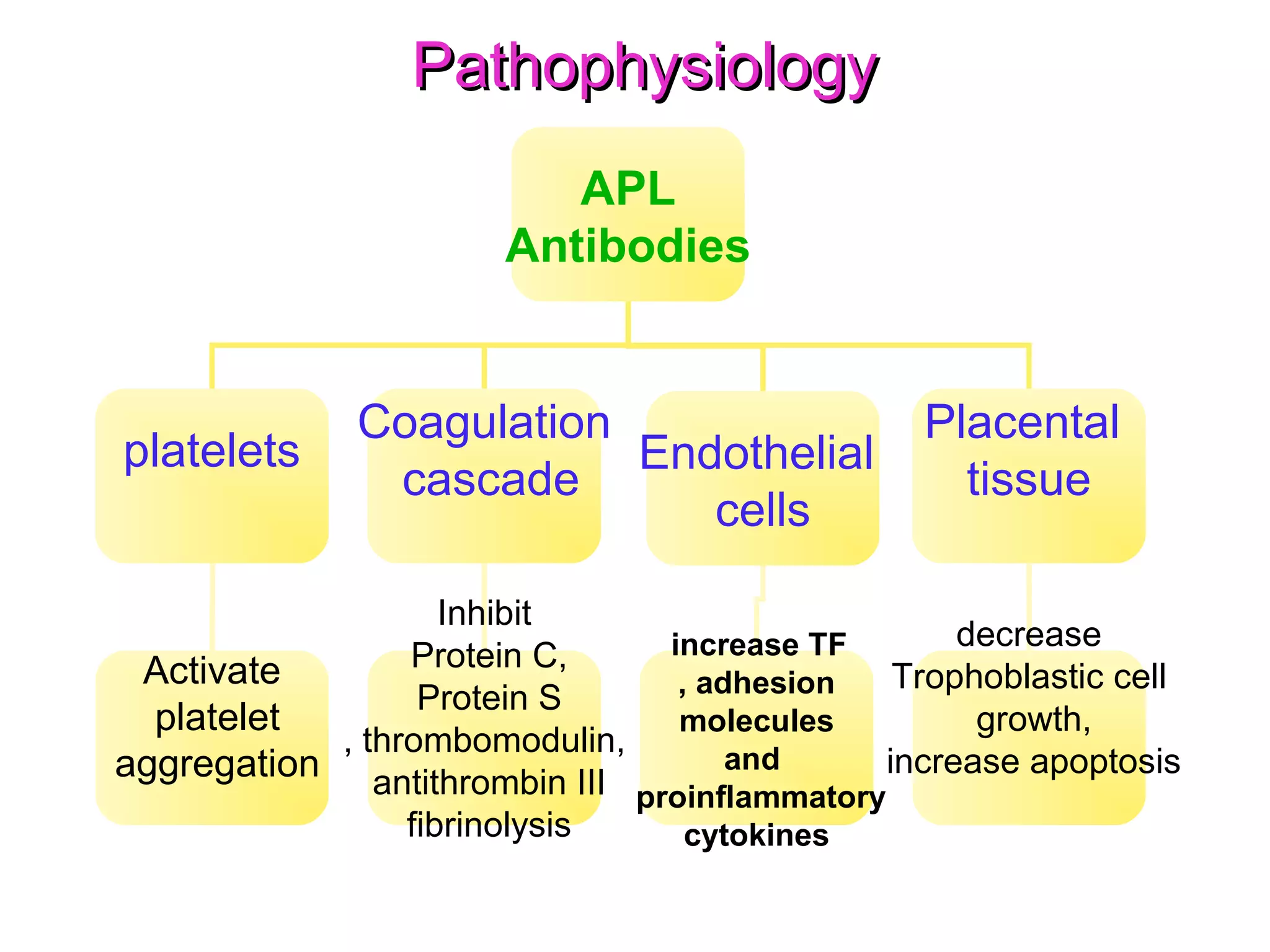 Antiphospholipid Syndrome | PPT