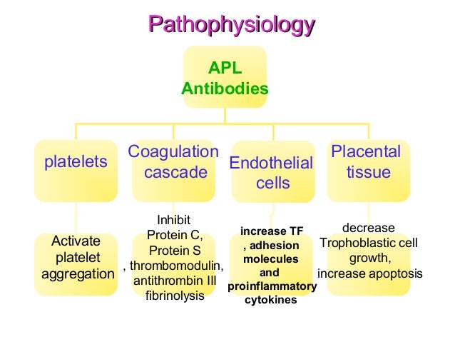 Antiphospholipid Syndrome