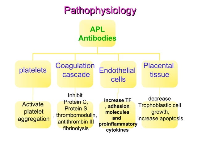 antiphospholipidsyndrome-141014120624-conversion-gate01 (1).pdf