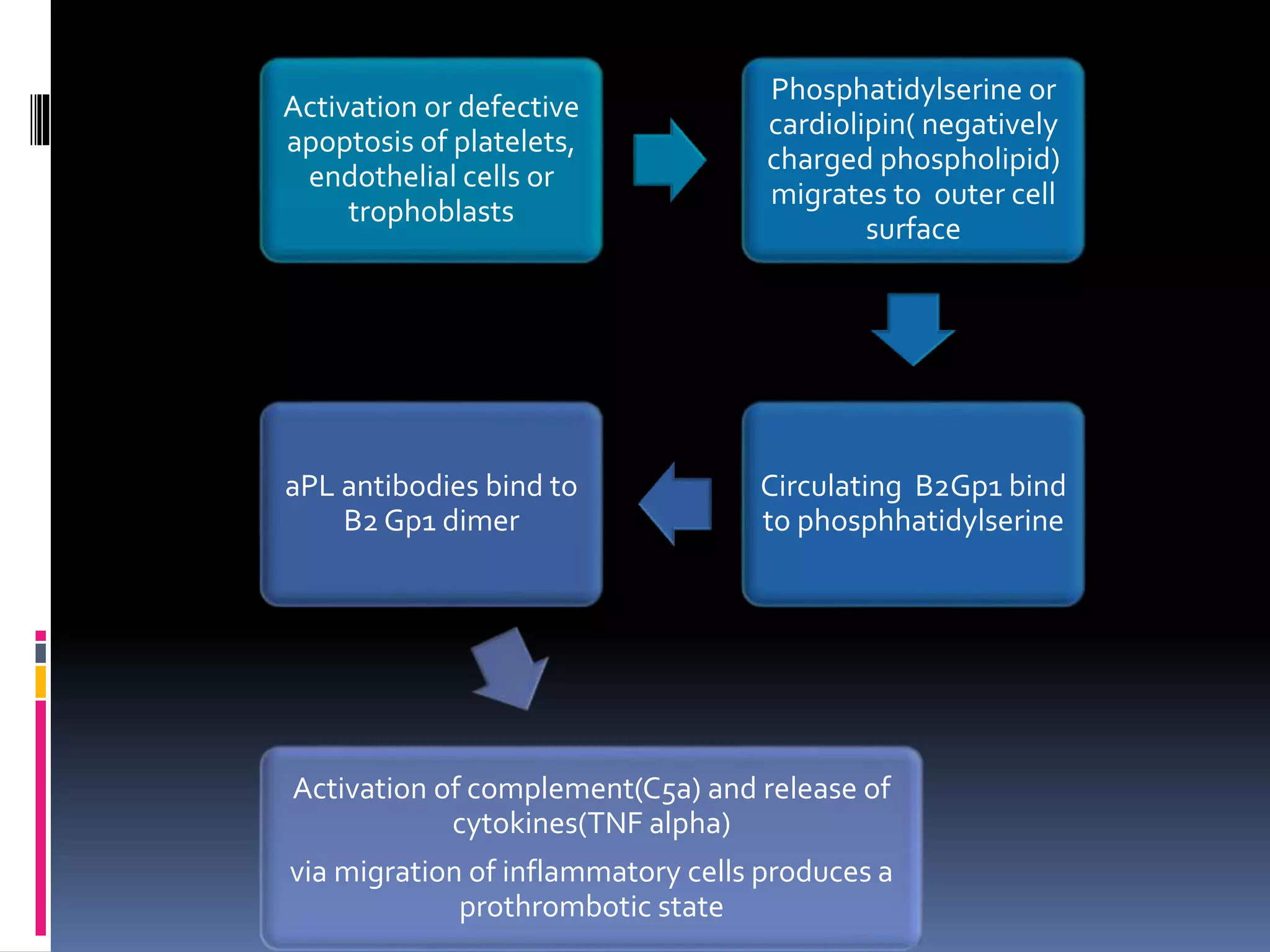 Antiphospholipid syndrome | PPTX
