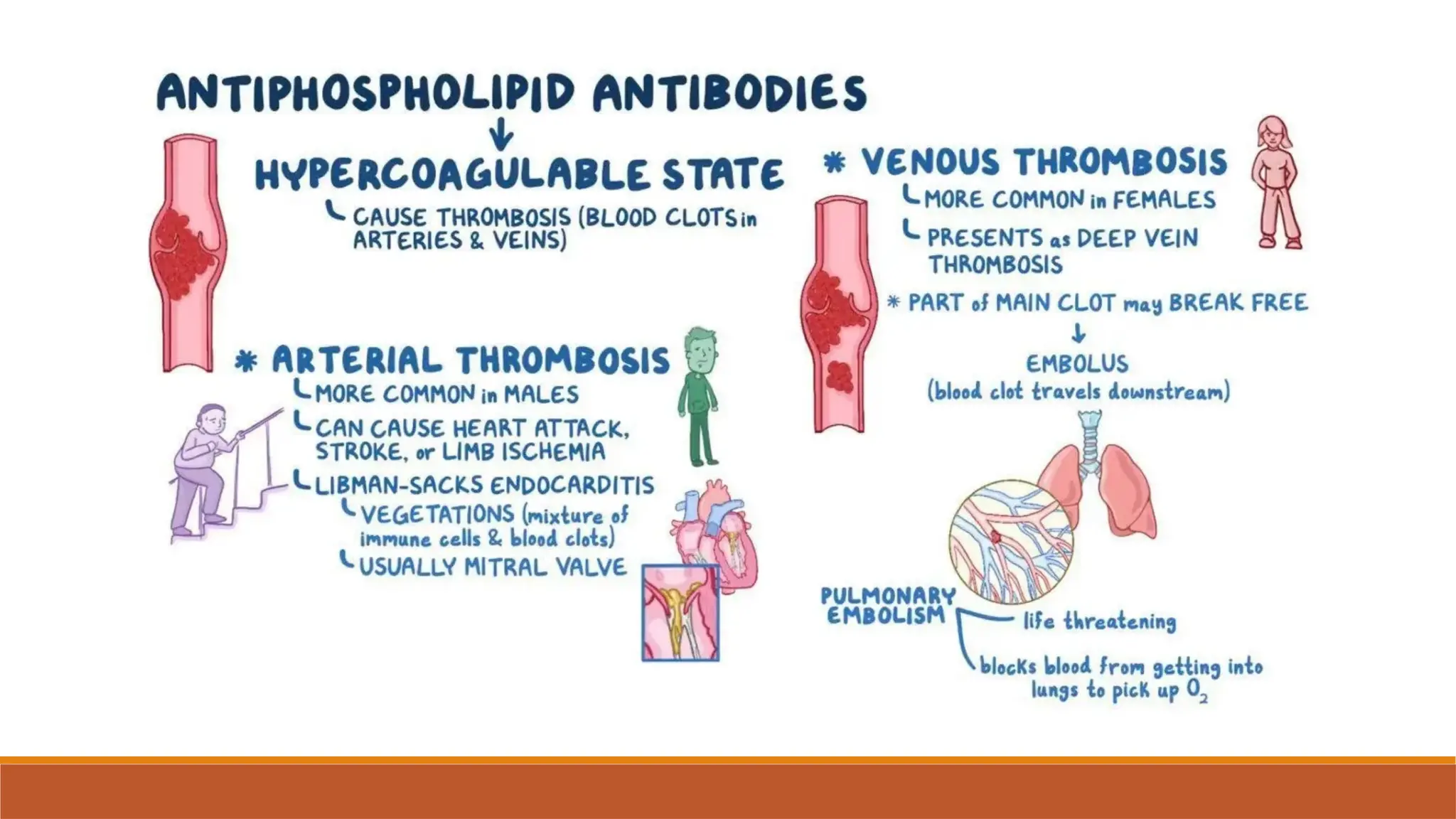 Antiphospholipid Syndrome (APS) main character | PPTX