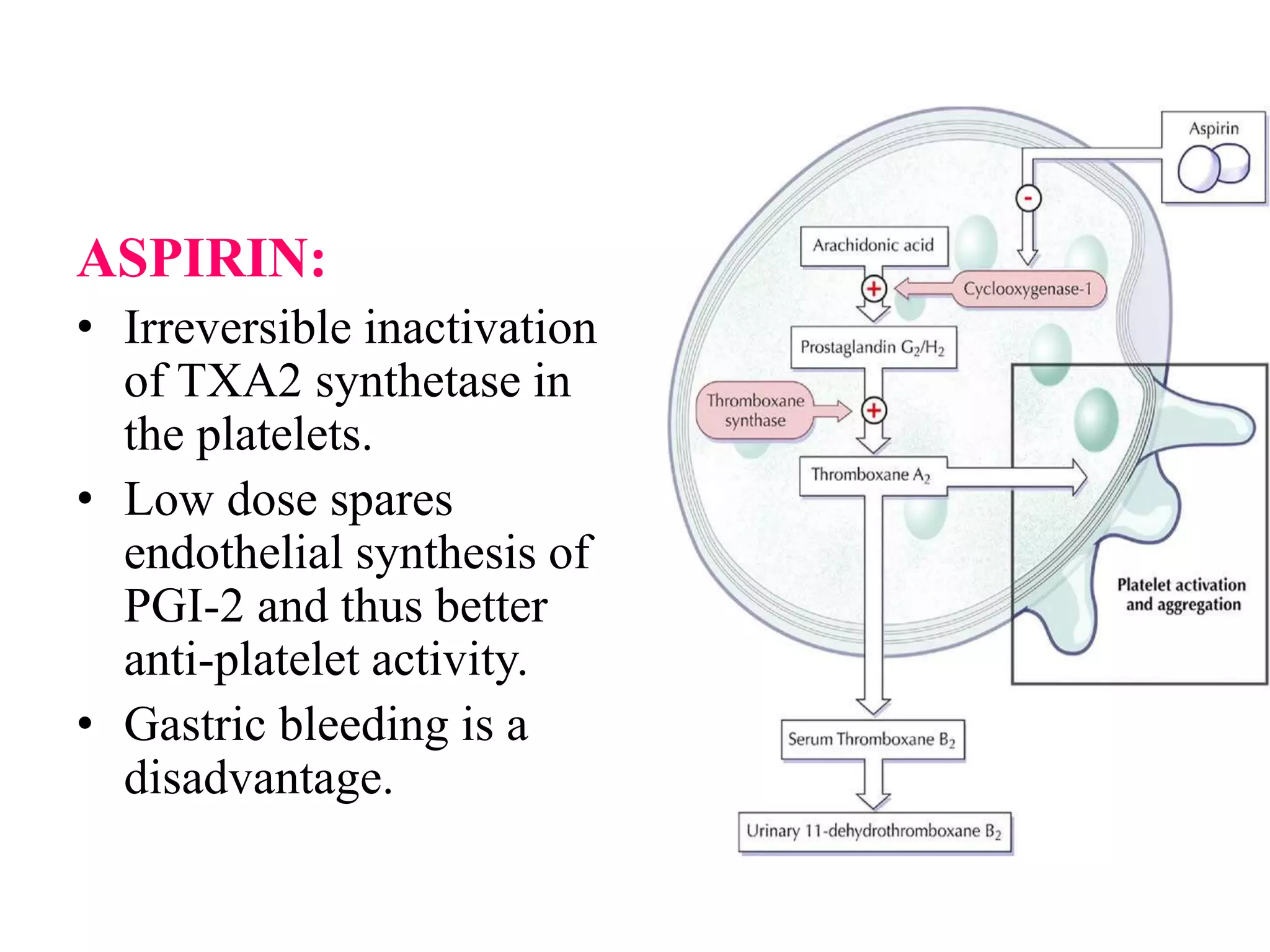 Antiplatelet Drugs | PPTX