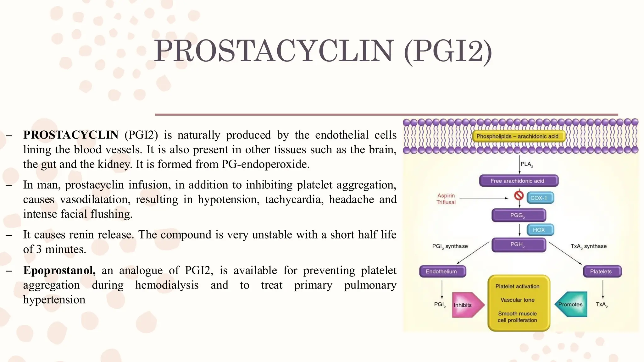 Pharmacology of the antiplatelet agents.pdf | Blood Disorders ...