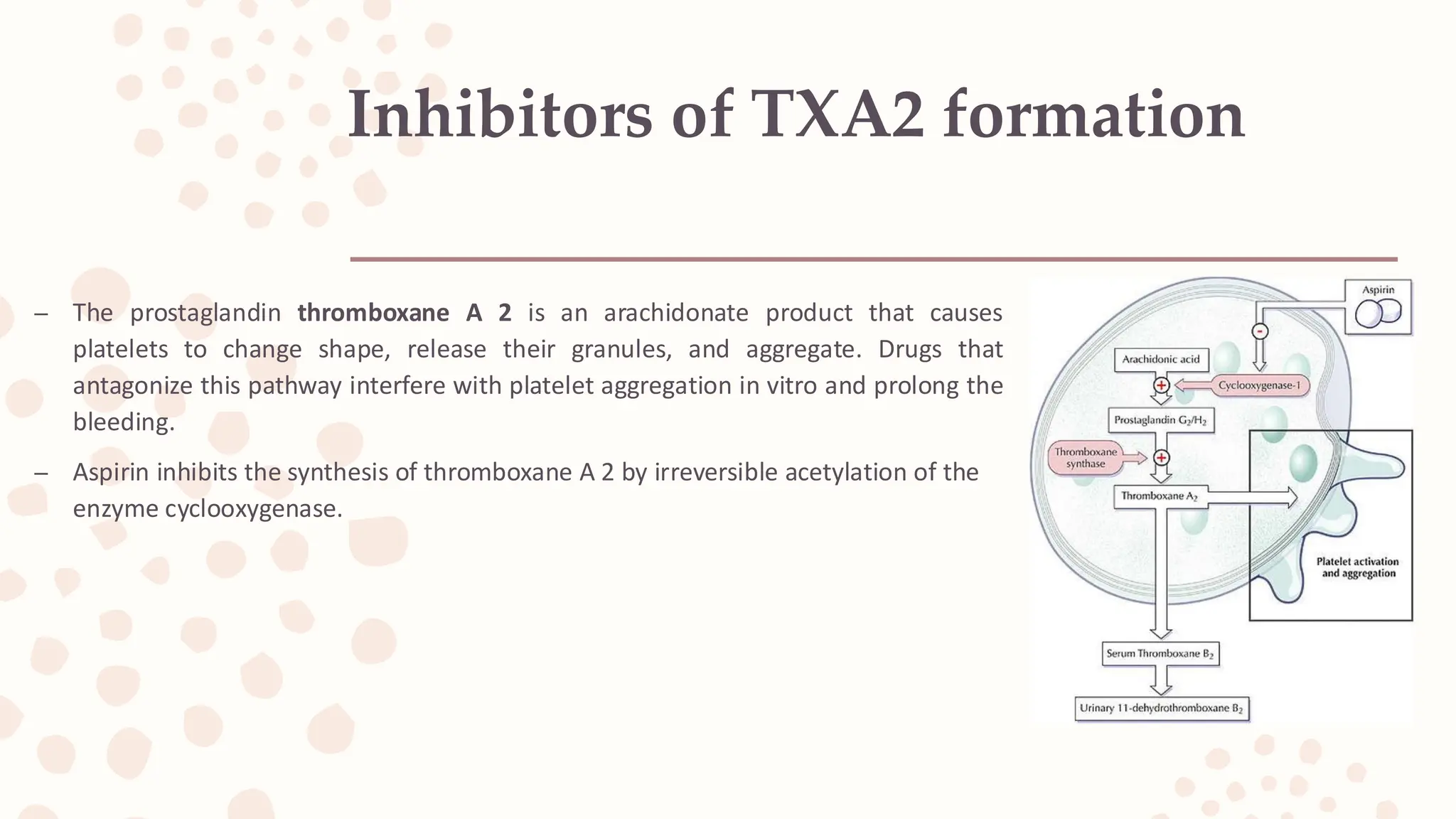 Pharmacology of the antiplatelet agents.pdf | Blood Disorders ...