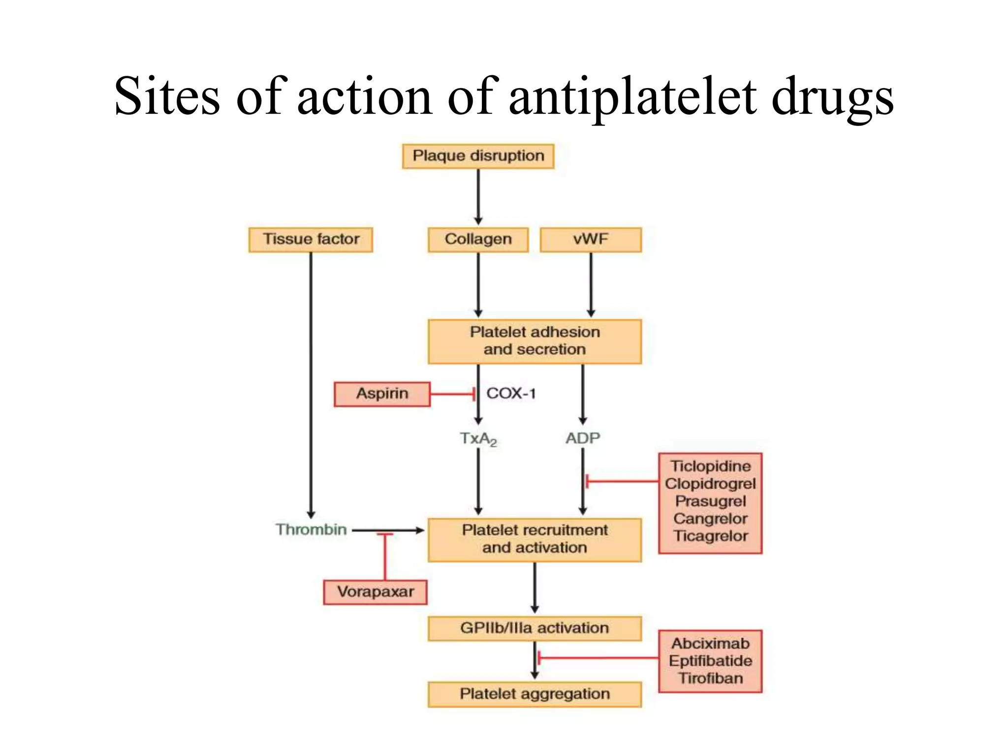 Antiplatelet drugs | PPTX