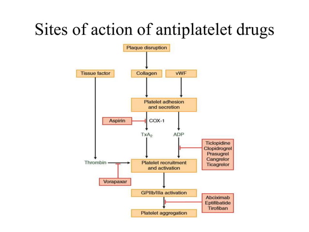 Antiplatelet drugs | PPTX | Blood Disorders | Diseases and Conditions