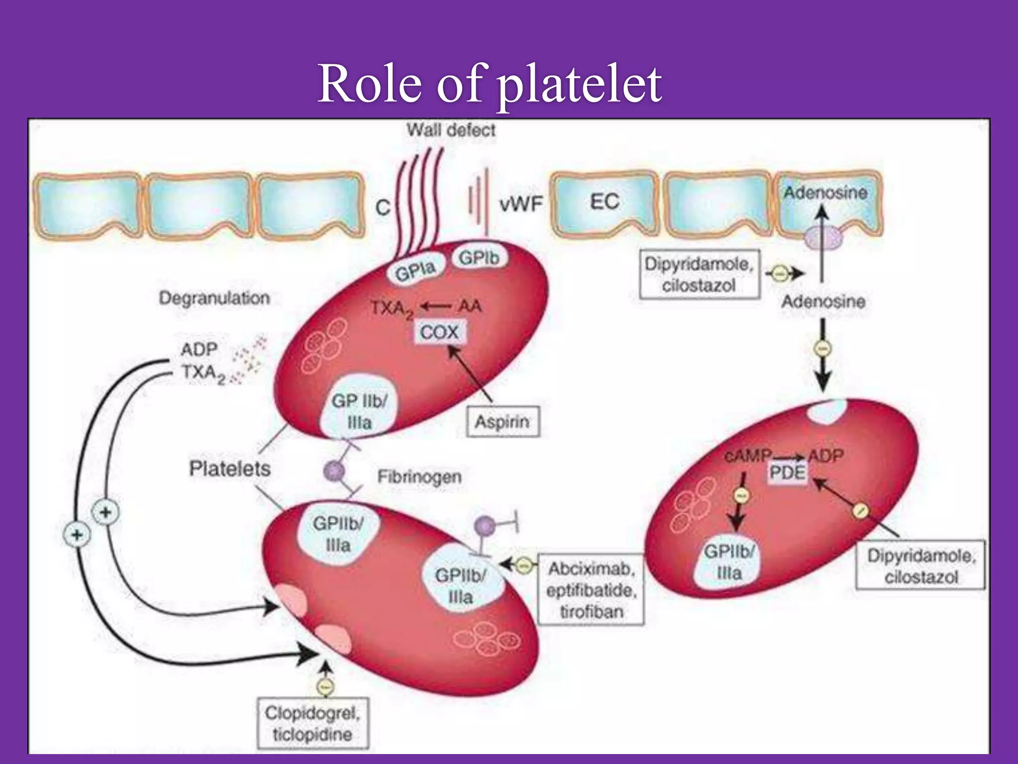 Pharmacology of Antiplatelet drugs | PPTX