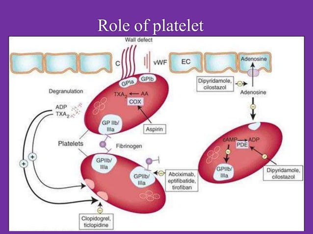 Pharmacology of Antiplatelet drugs | PPTX