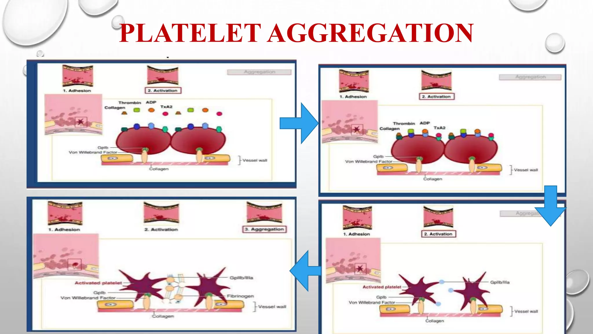 Antiplatelet drugs | PPTX