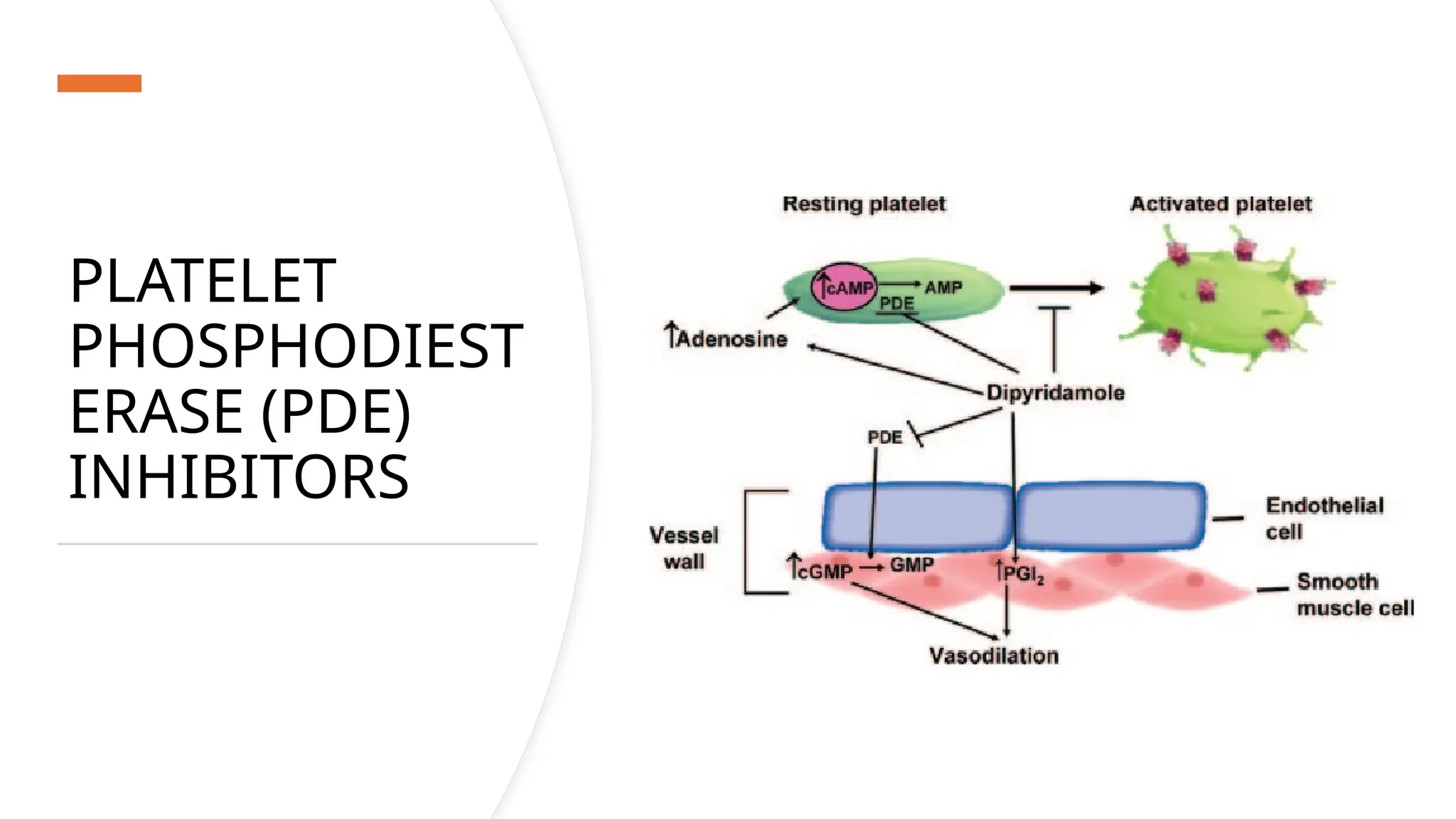 antiplatelet drugs by- Dr. Tasneem Attarwala | PPTX