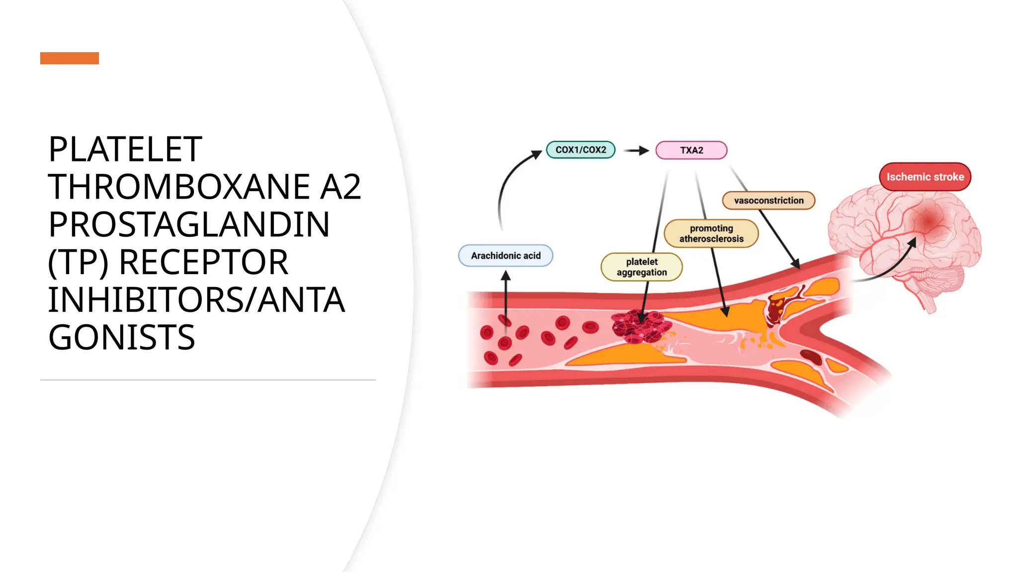 antiplatelet drugs by- Dr. Tasneem Attarwala | PPTX
