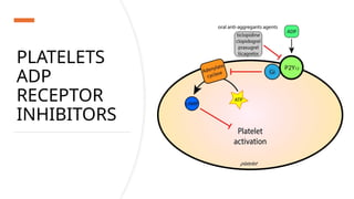 antiplatelet drugs by- Dr. Tasneem Attarwala | PPTX