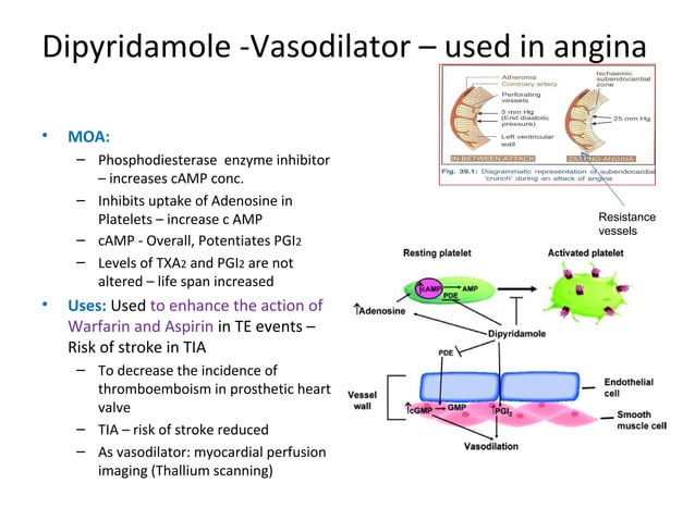 Antiplatelet drugs (antithrombotics) | PPT