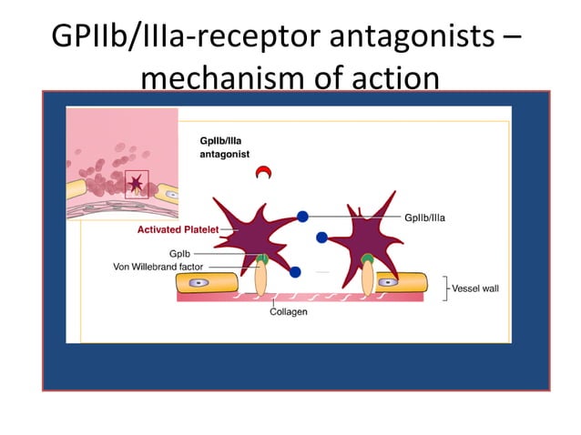 Antiplatelet drugs (antithrombotics) | PPT | Heart and Cardiovascular ...