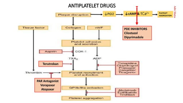 Antiplatelet drugs new | PPT