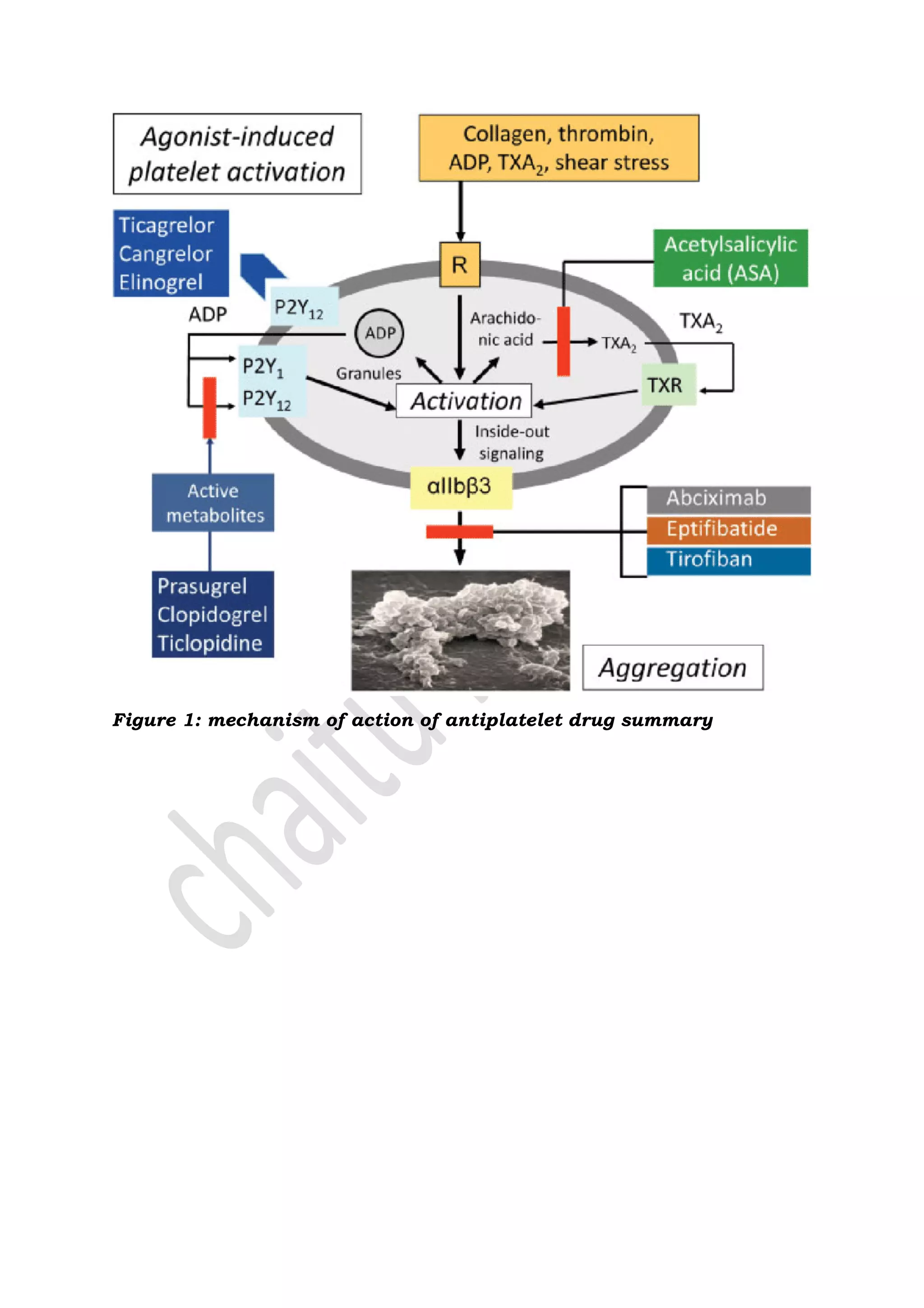 Antiplatelet drugs pharmacology.pdf