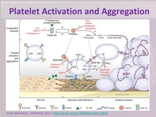 Antiplatelet Therapy: What’s New, Older Agents and How They Work | PDF