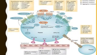 Antiplatelets : target site, evidences, guidelines | PPTX