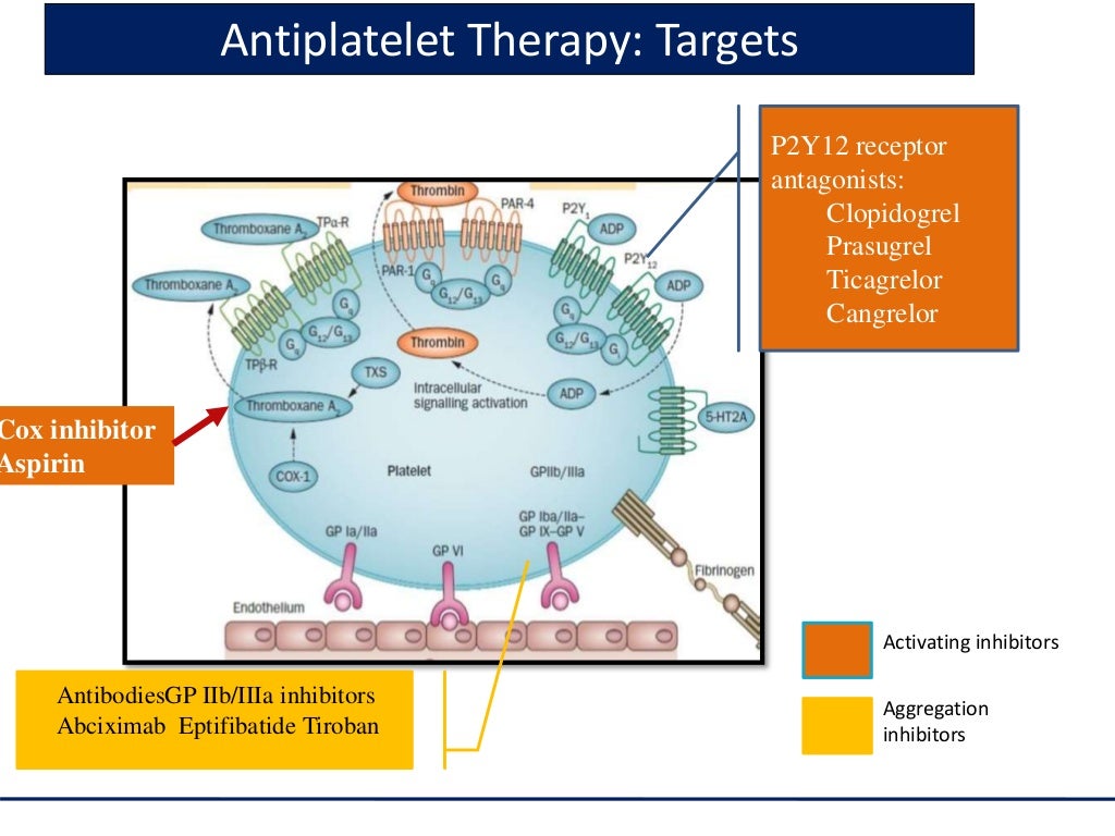 Antiplatelet therapy