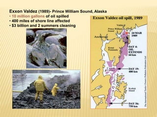 Anti polliution | PPTX | Indoor Environmental Quality | Home & Garden