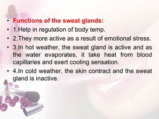 Antiprespirants and deodrants Lecture 6.ppt