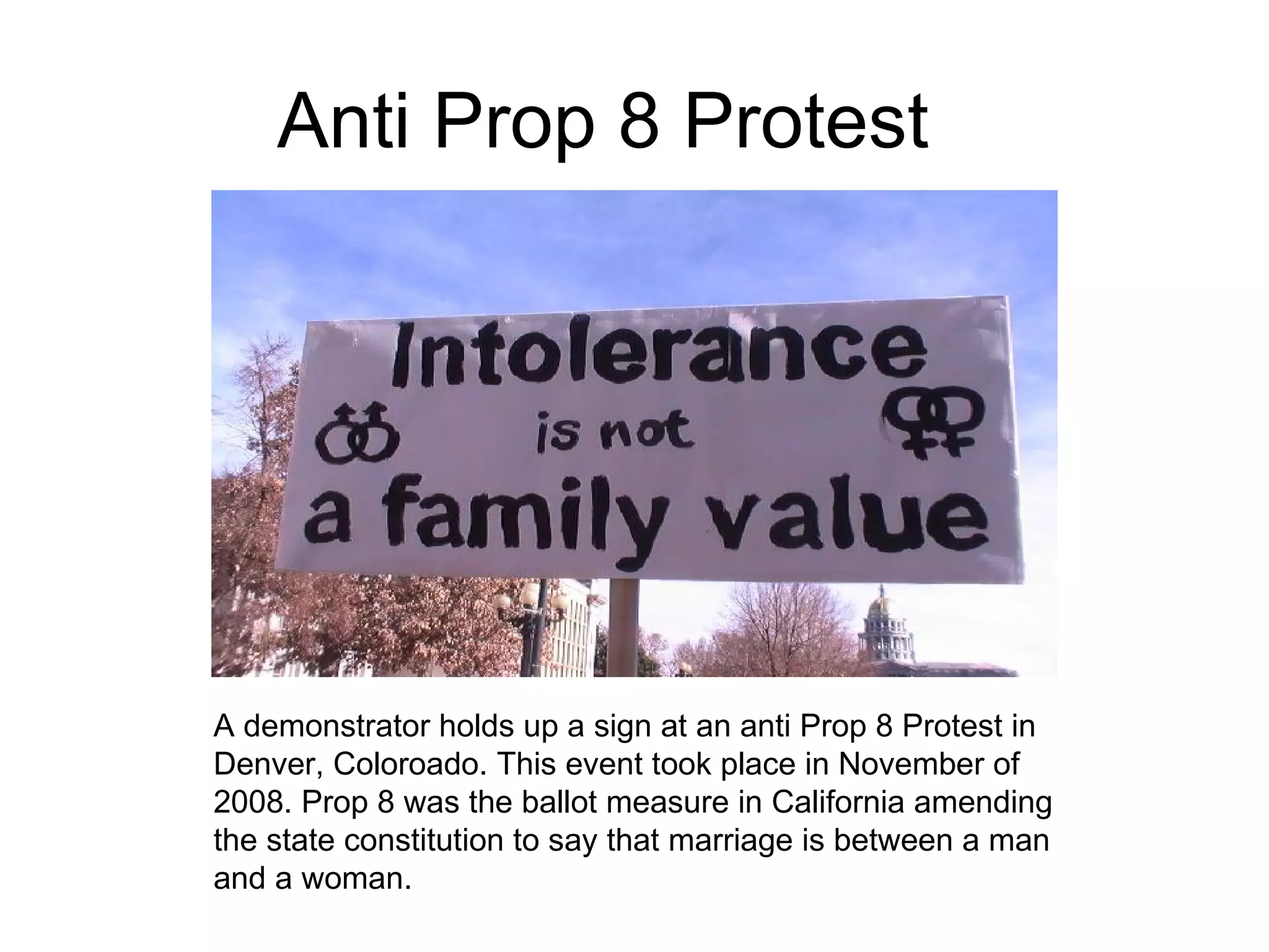 Anti Prop 8 Protest | PPT
