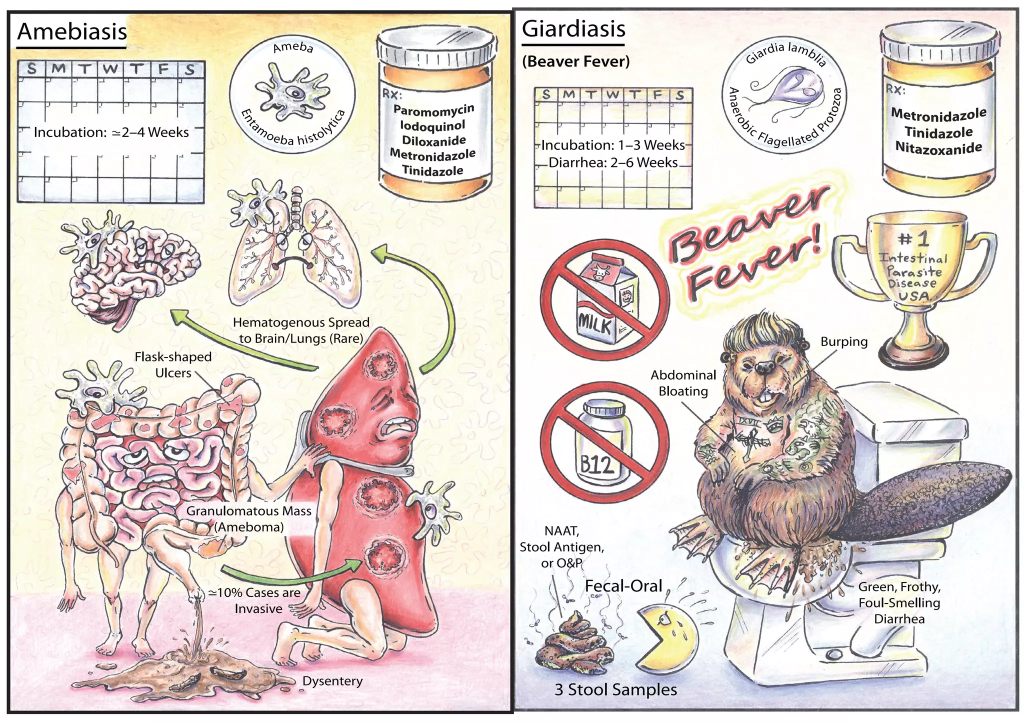 Drugs for Protozoal and Helminthic Infections | PDF