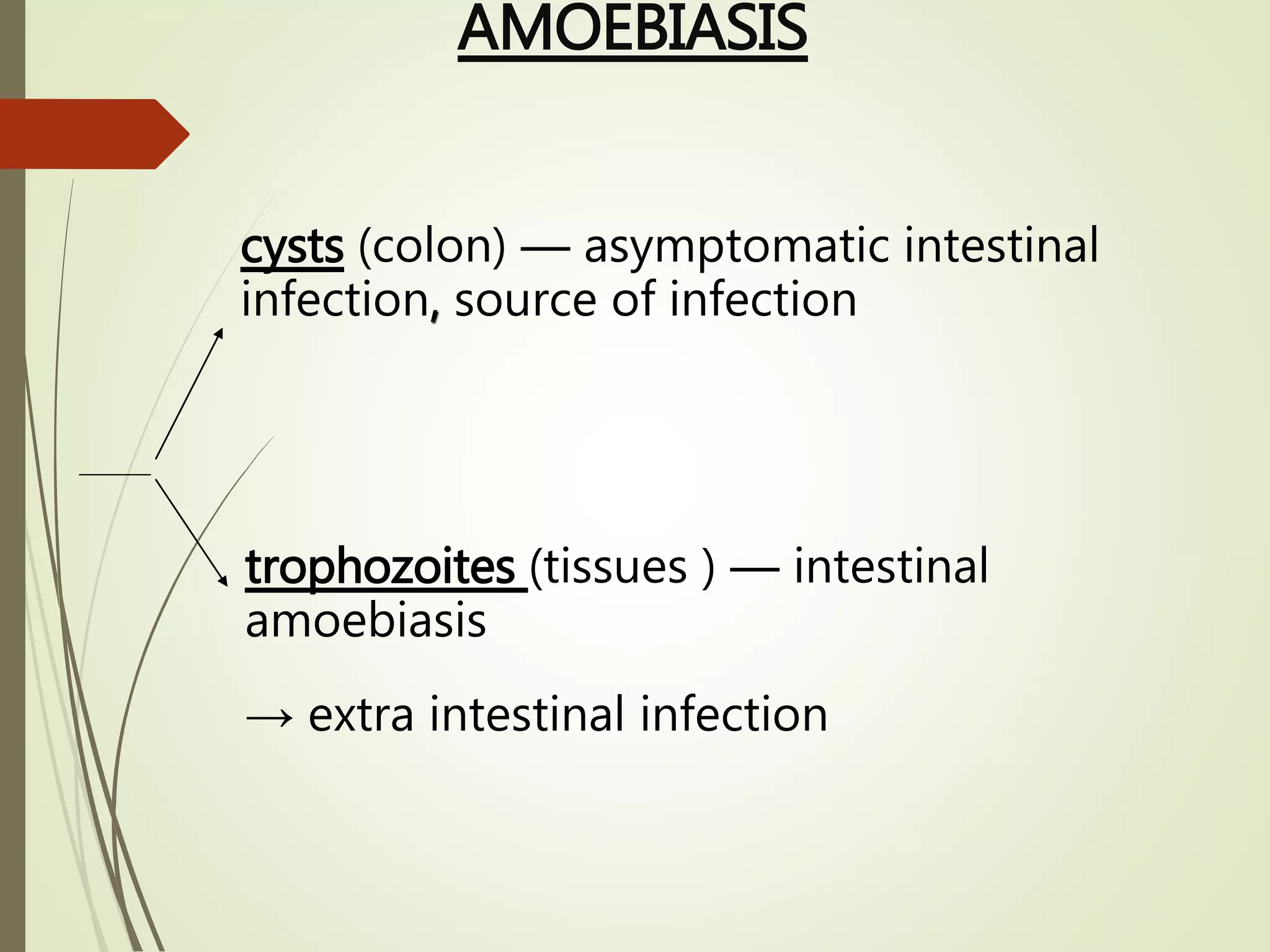 Anti Amoebic Drugs | PPTX