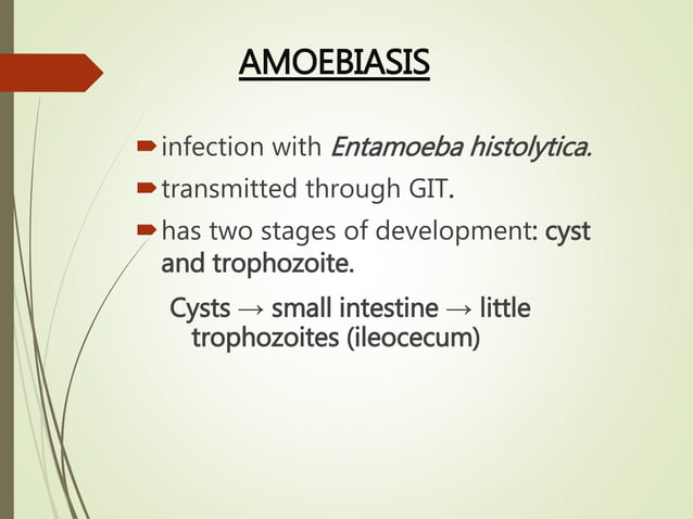 Anti Amoebic Drugs | PPTX