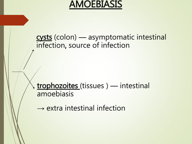 Anti Amoebic Drugs | PPTX