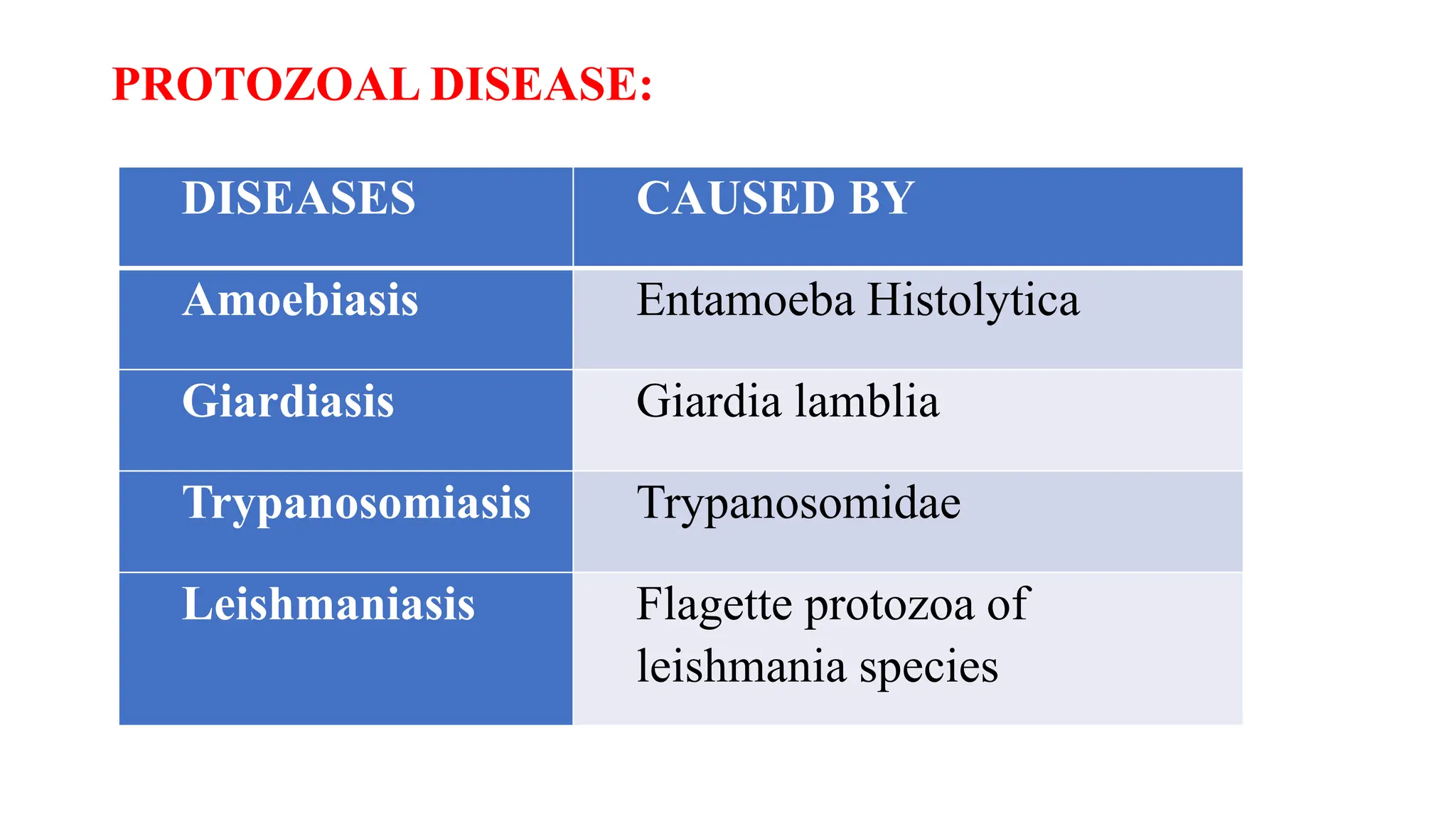 Drugs used in protozoal infections with antiprotozoal drugs | PPTX