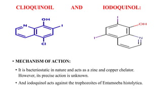 Drugs used in protozoal infections with antiprotozoal drugs | PPTX