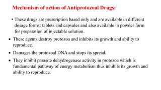 Drugs used in protozoal infections with antiprotozoal drugs | PPTX